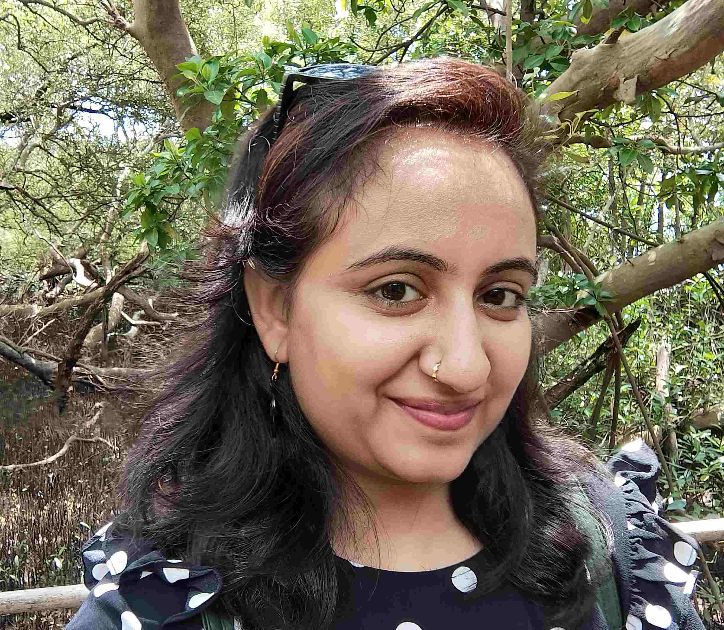 RashmiJain.dev - Web Developer | Software Engineer | Laravel Developer